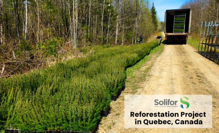 Carbon Sequestration: A Popular Offset Methodology - Azzera